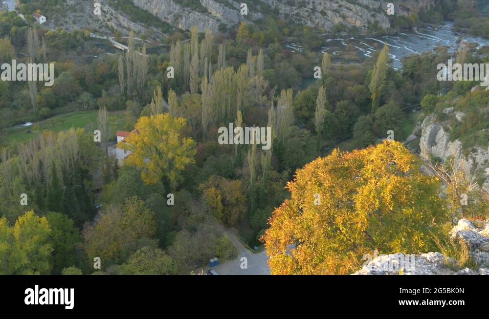 Species of poplar Stock Videos & Footage - HD and 4K Video Clips - Alamy