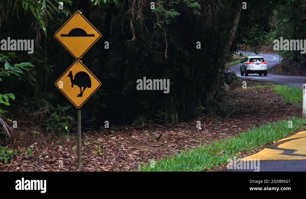 Cassowary warning sign Stock Videos & Footage - HD and 4K Video Clips ...