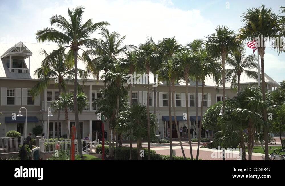 Trees on building Stock Videos & Footage - HD and 4K Video Clips - Alamy