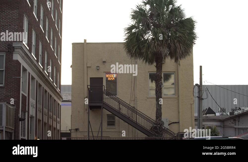 Palm tree bar Stock Videos & Footage - HD and 4K Video Clips - Alamy