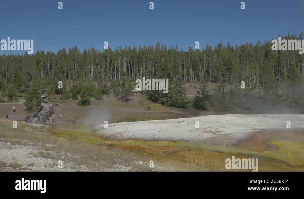 Yellowstone forest national park Stock Videos & Footage - HD and 4K ...