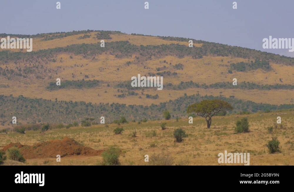 African scenery Stock Videos & Footage - HD and 4K Video Clips - Alamy