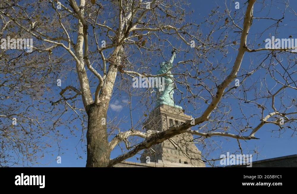 The liberty tree Stock Videos & Footage - HD and 4K Video Clips - Alamy