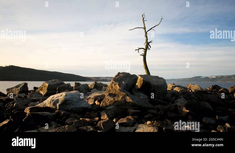 One tree rocks Stock Videos & Footage - HD and 4K Video Clips - Alamy