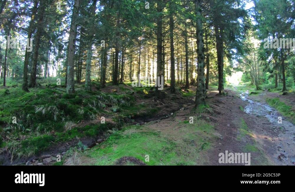 Slippery pathway Stock Videos & Footage - HD and 4K Video Clips - Alamy