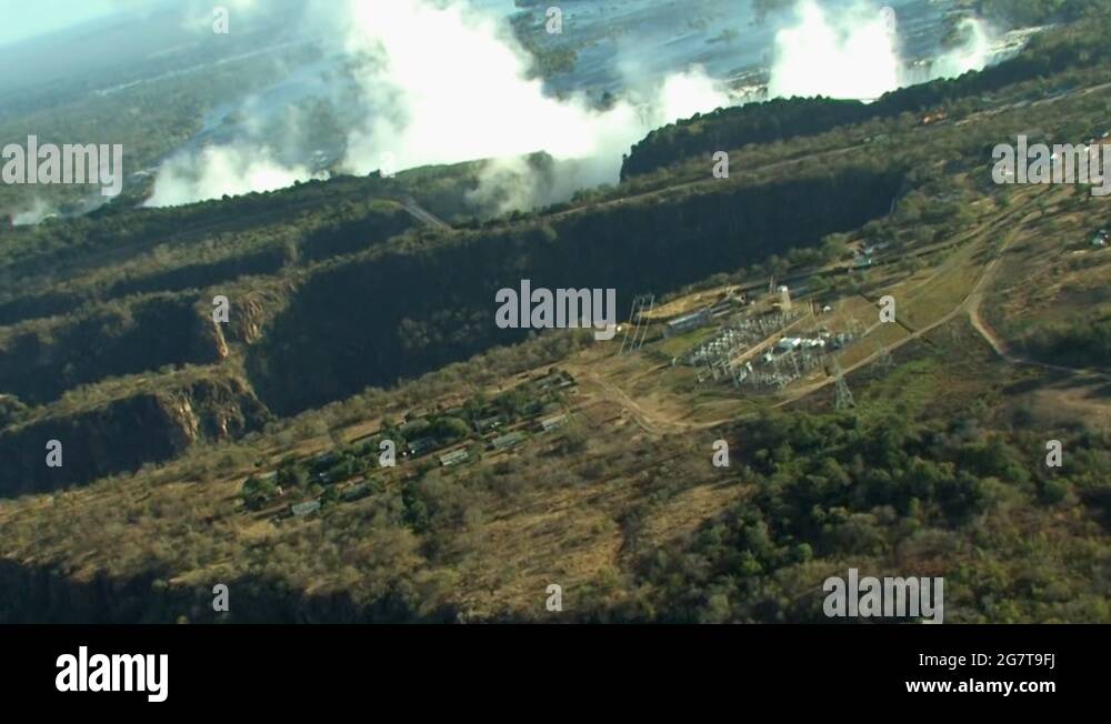 Vic tree Stock Videos & Footage - HD and 4K Video Clips - Alamy