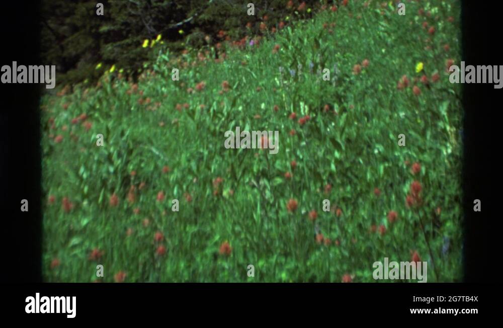 AGATE SPRINGS MONTANA USA-1975: A Mysterious Attack That Occurs In The ...