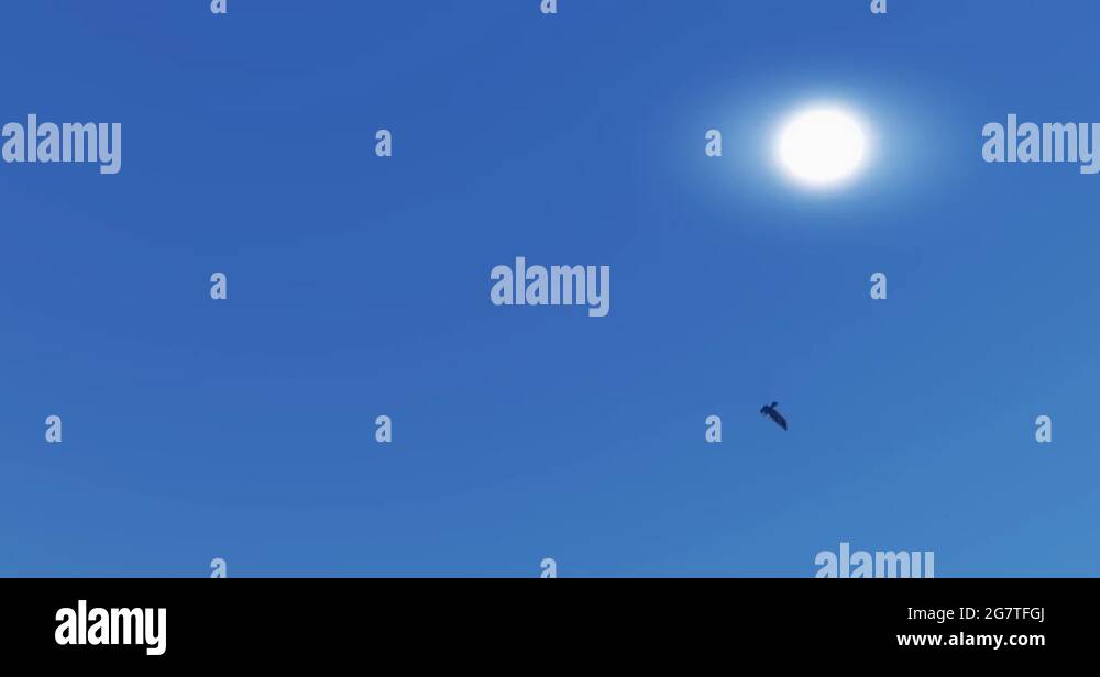4k eagle Flying Over Sunlight,sun rays & solar flare,Paradise scene ...