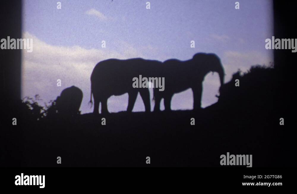 Shadow and blue sky Stock Videos & Footage - HD and 4K Video Clips - Alamy