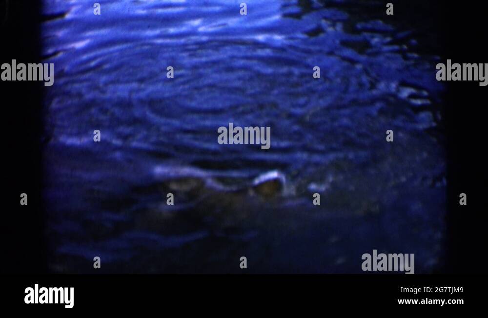 ALABAMA-1958: Small Shrek Swimming In River And A Milan Crawling Into ...