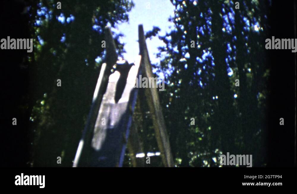 Alligator water splash Stock Videos & Footage - HD and 4K Video Clips ...