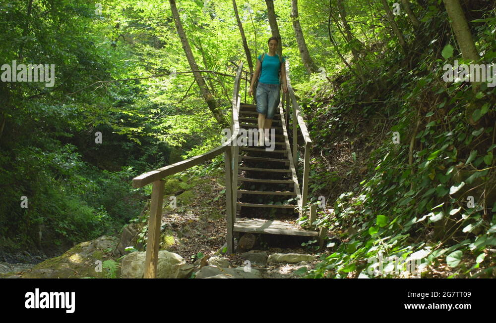 River in jungle ladder Stock Videos & Footage - HD and 4K Video Clips ...