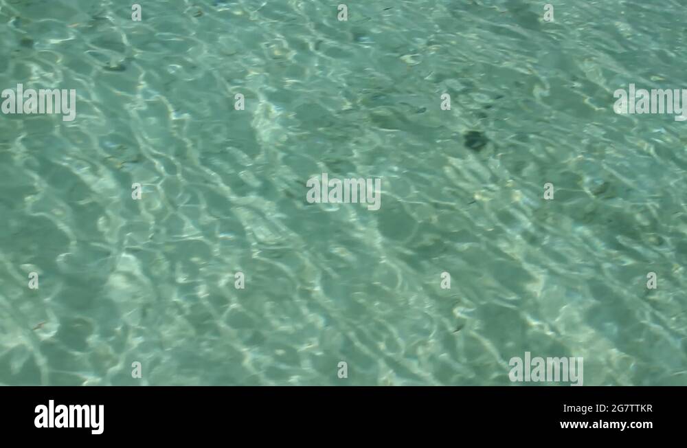 Palau beaches Stock Videos & Footage - HD and 4K Video Clips - Alamy