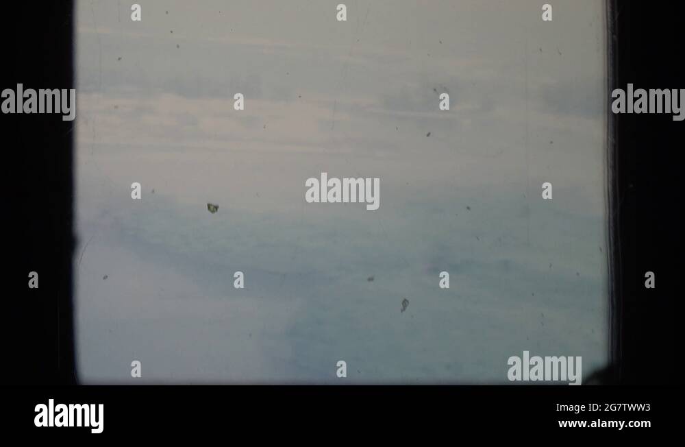 Gliding tree Stock Videos & Footage - HD and 4K Video Clips - Alamy