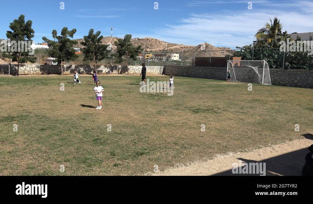 Kids soccer referee Stock Videos & Footage - HD and 4K Video Clips - Alamy