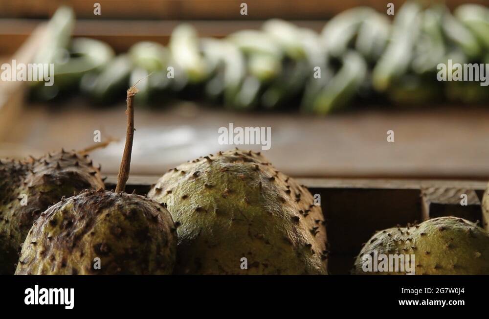 Island Fruit on the Micronesian island of Pohnpei Stock Video Footage ...