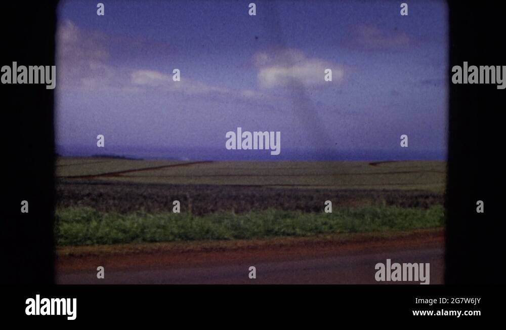 Tidy group Stock Videos & Footage - HD and 4K Video Clips - Alamy