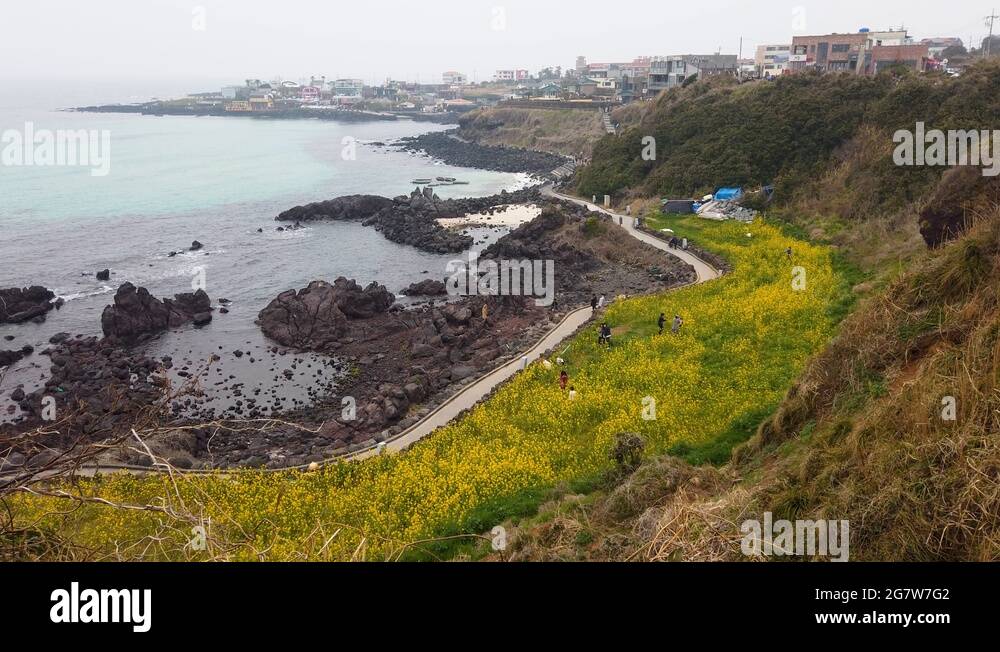 Gwakji gwa-mul beach trail in Jeju island. South Korea Stock Video ...