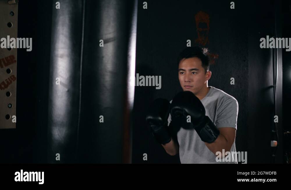 Handsome man boxer who Stock Videos & Footage - HD and 4K Video Clips ...