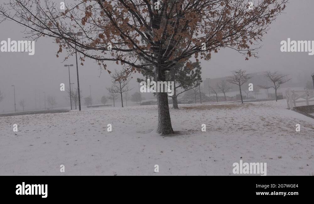 Grey and miserable Stock Videos & Footage - HD and 4K Video Clips - Alamy
