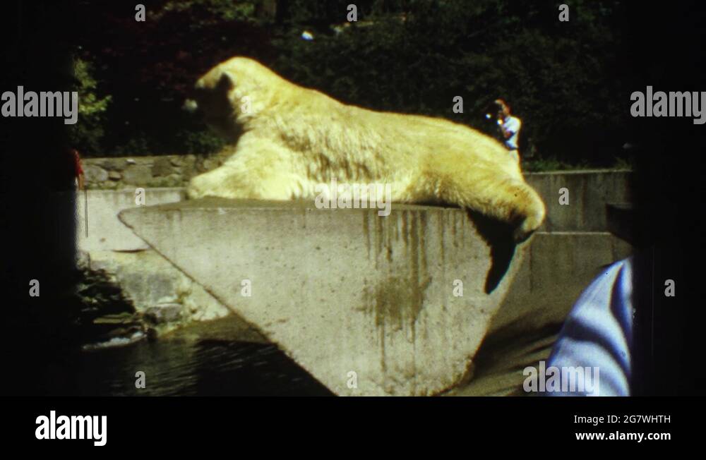 Laying on the stomach Stock Videos & Footage - HD and 4K Video Clips ...