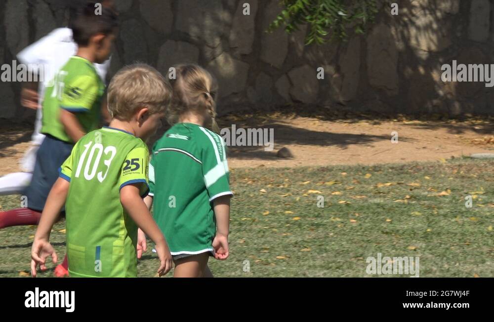 San jose soccer team Stock Videos & Footage - HD and 4K Video Clips - Alamy