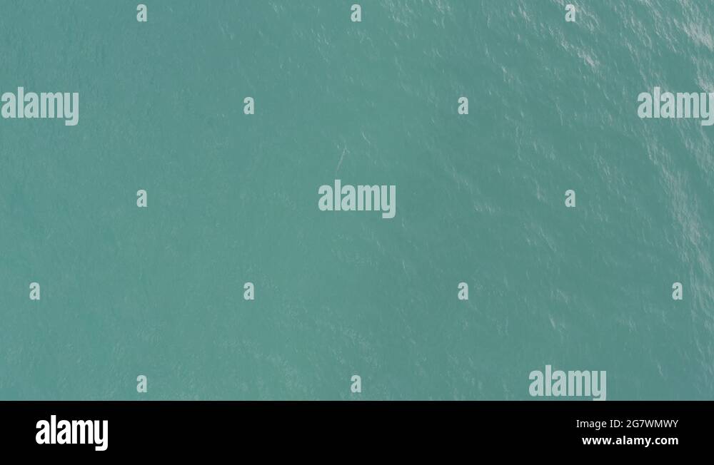 EAST CAPE BCS MEXICO-2019: Birds Eye View Of Water With Fish Ascending ...