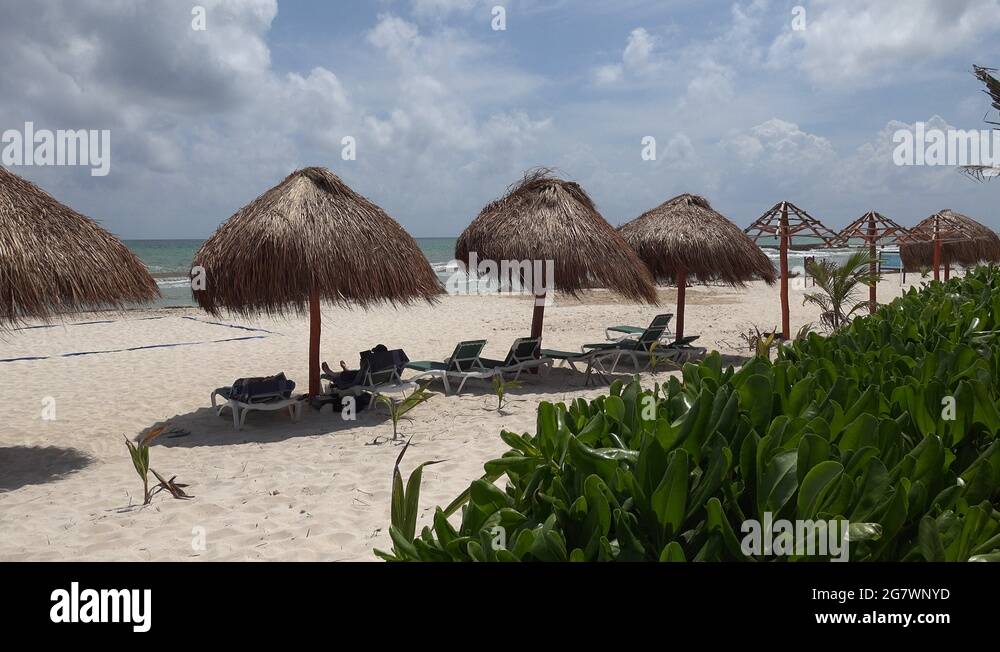 Shade lot Stock Videos & Footage - HD and 4K Video Clips - Alamy