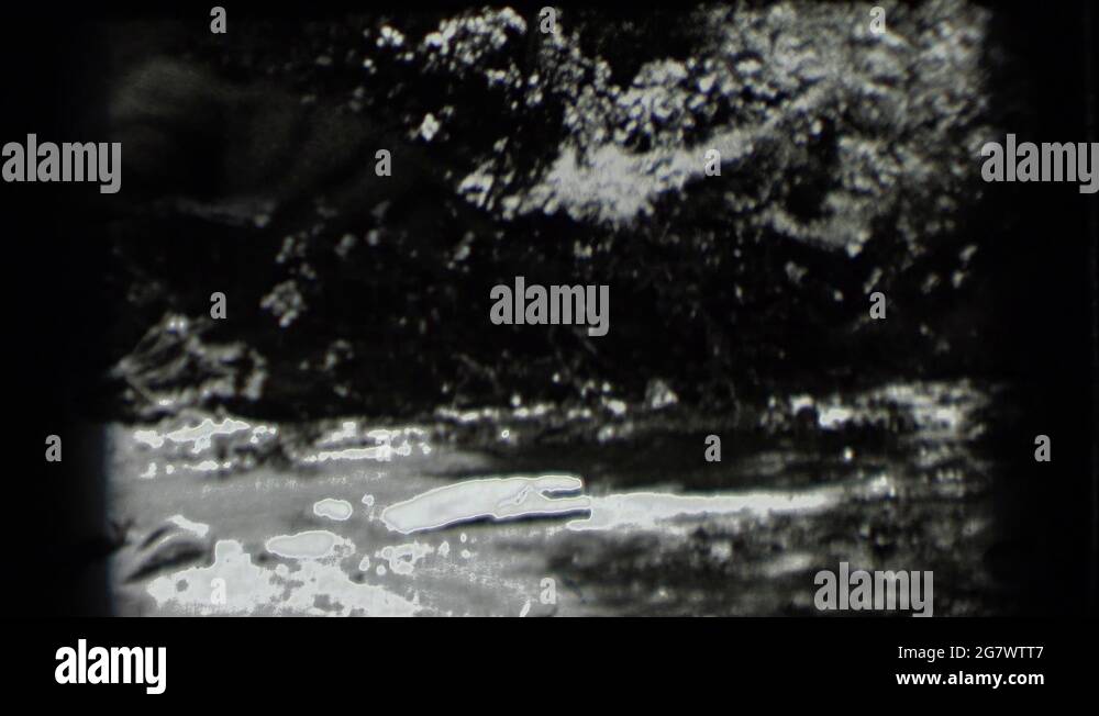 Nature scroll Stock Videos & Footage - HD and 4K Video Clips - Alamy