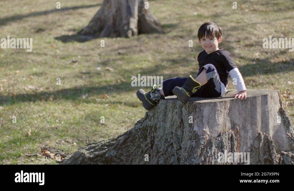 Boy sitting on a tree stump in the park and smiling 4K Stock Video ...