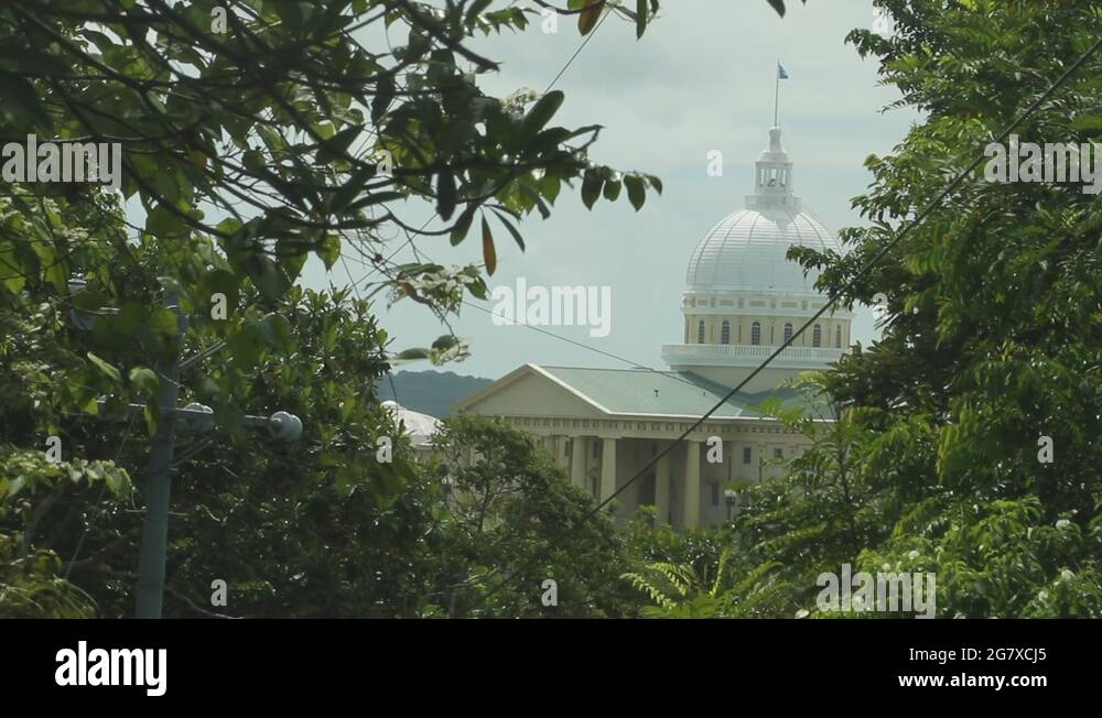 Capitol forest Stock Videos & Footage - HD and 4K Video Clips - Alamy