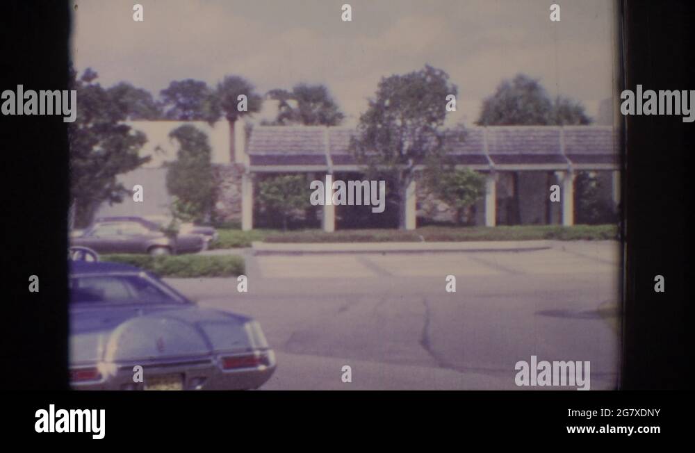 NAPLES FLORIDA USA-1973: Strong Winds Change Tree Posture In Vintage ...