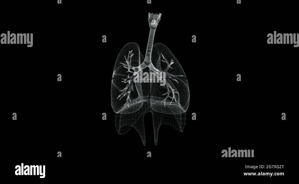 Inhalation system Stock Videos & Footage - HD and 4K Video Clips - Alamy
