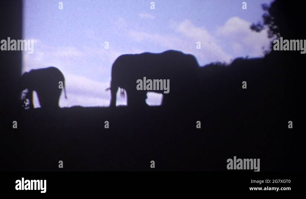 Task loading Stock Videos & Footage - HD and 4K Video Clips - Alamy