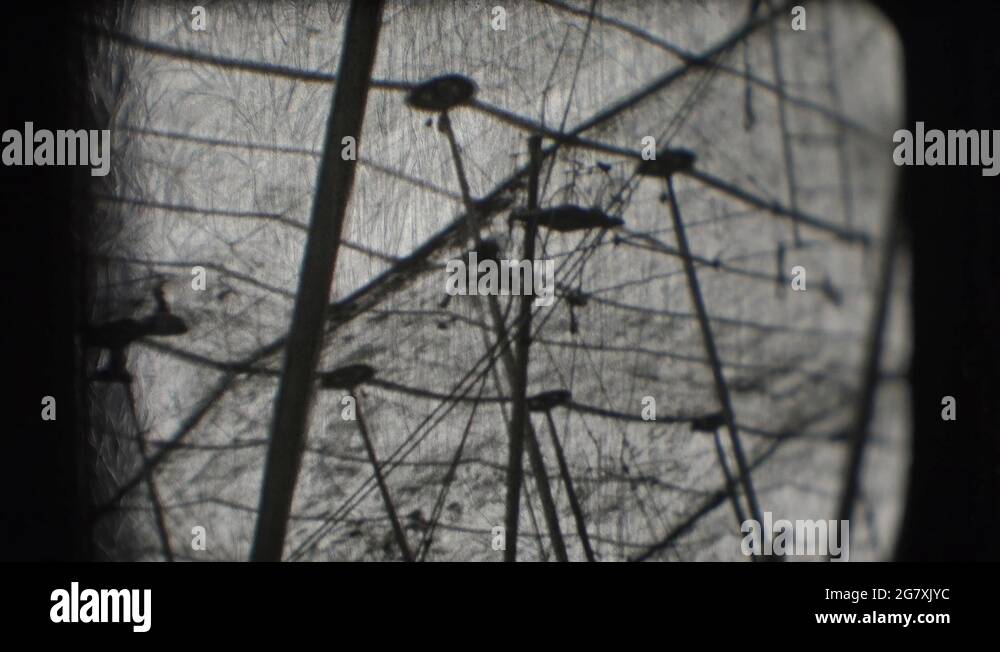 Ringling brothers acrobat Stock Videos & Footage - HD and 4K Video ...