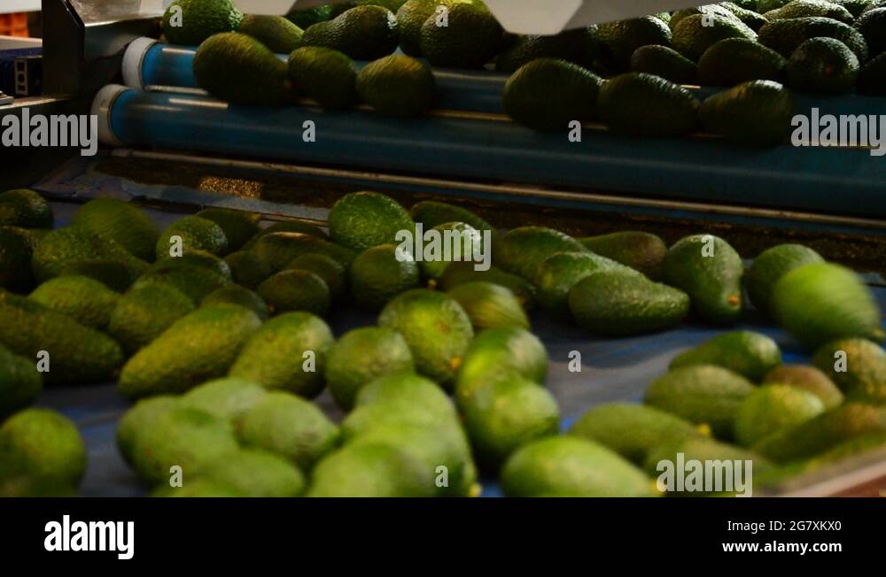 Packaging line Stock Videos & Footage - HD and 4K Video Clips - Alamy