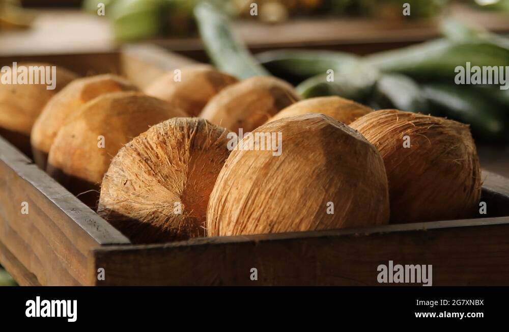 Coconuts on the Micronesian island of Pohnpei Stock Video Footage - Alamy