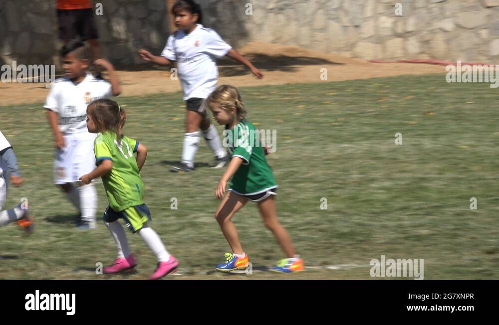 Kids running in field and sports Stock Videos & Footage - HD and 4K ...