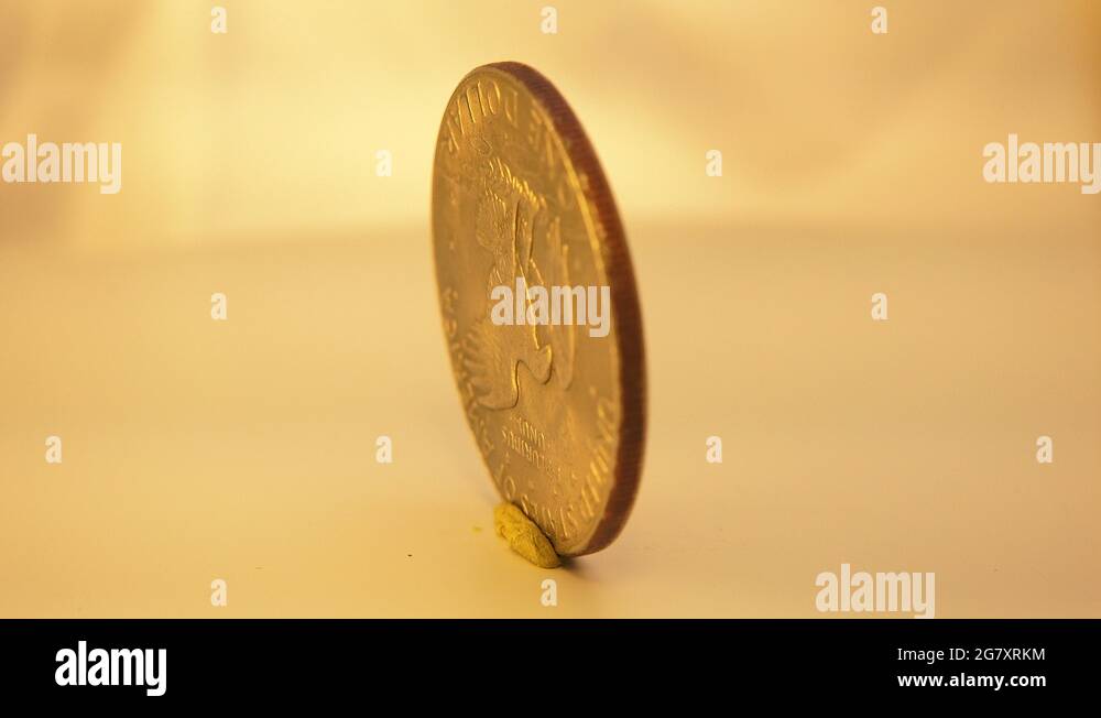Coin plate Stock Videos & Footage - HD and 4K Video Clips - Alamy