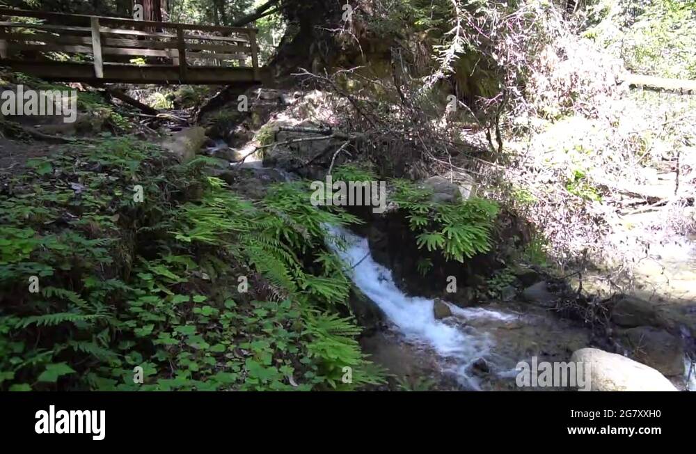 Rock creek park washington dc nature Stock Videos & Footage - HD and 4K ...
