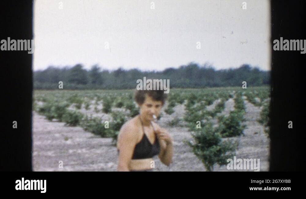 Michigan farm land Stock Videos & Footage - HD and 4K Video Clips - Alamy