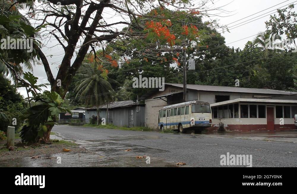 Bus on pacific island Stock Videos & Footage - HD and 4K Video Clips ...