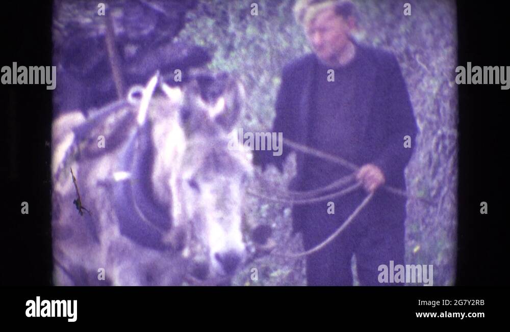 Man walking donkey Stock Videos & Footage - HD and 4K Video Clips - Alamy