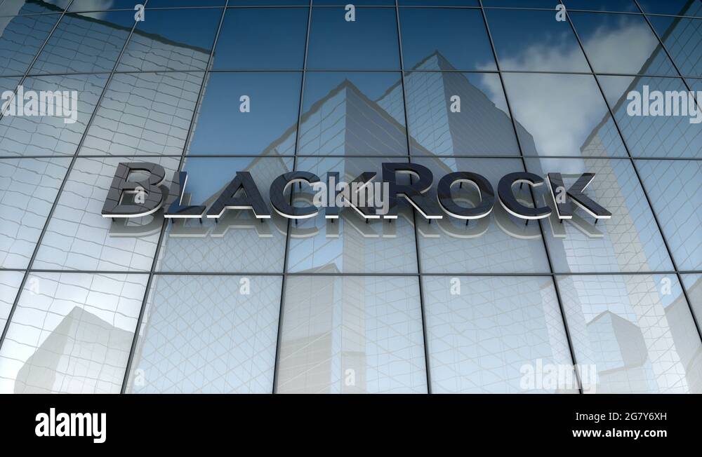 Blackrock logo Stock Videos & Footage - HD and 4K Video Clips - Alamy