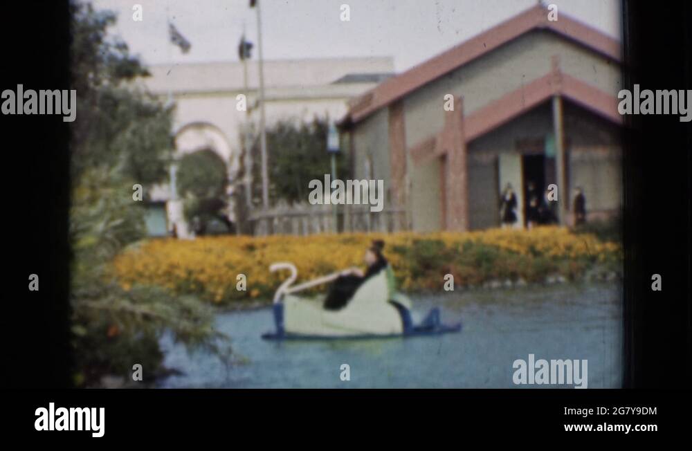 Swan shaped boats Stock Videos & Footage - HD and 4K Video Clips - Alamy