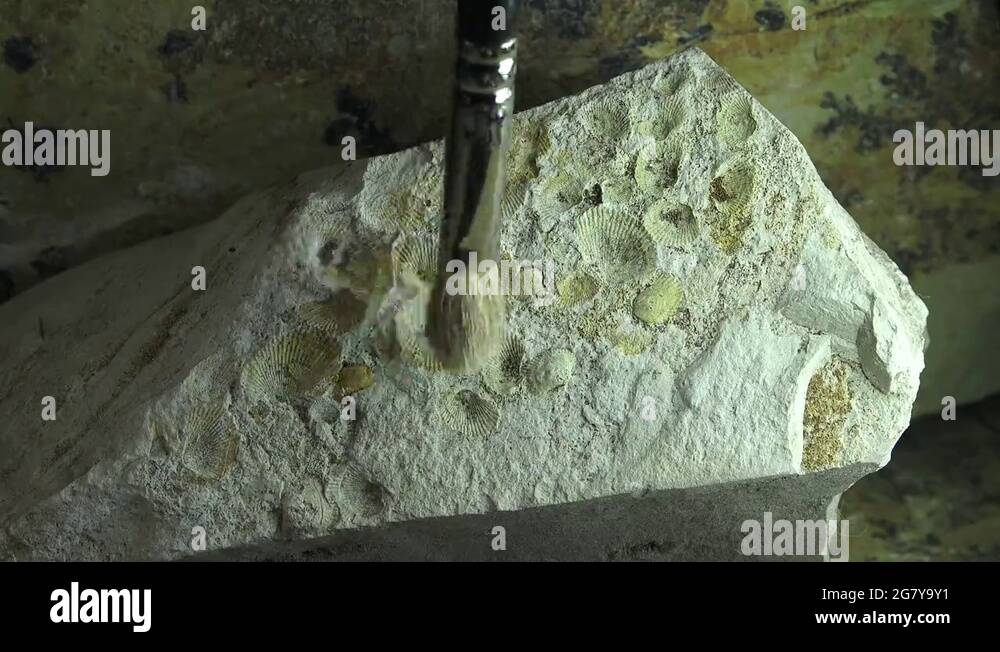 Sedimentary rock sequence Stock Videos & Footage - HD and 4K Video ...