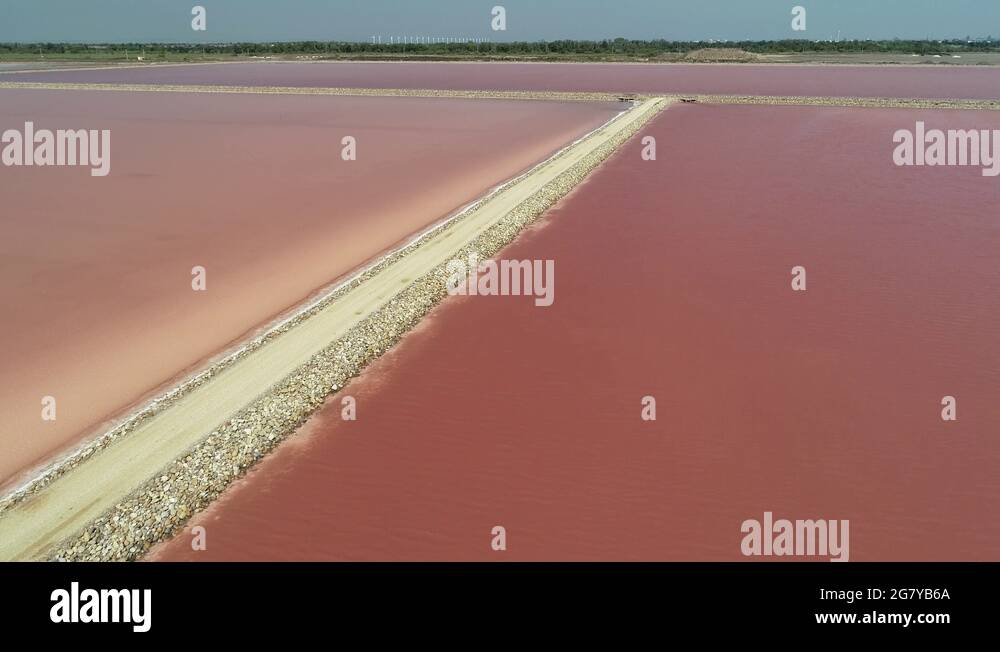 Plankton color Stock Videos & Footage - HD and 4K Video Clips - Alamy