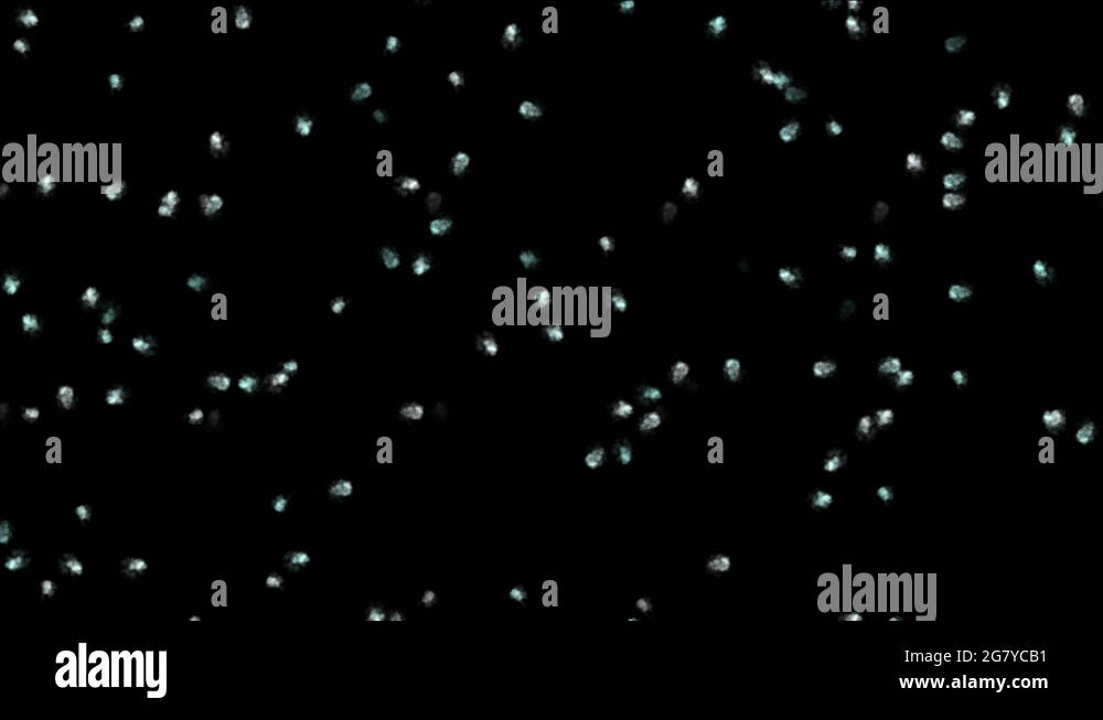 Floating plankton & micro algae,worm insect flies particle art ...