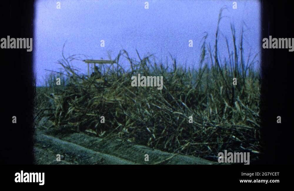 PUEBLO MEXICO-1965: Yellow Machine Cutting Crops On A Farm With Dirt ...