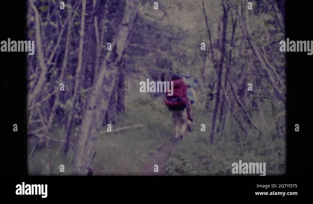 On this day in 1977 Stock Videos & Footage - HD and 4K Video Clips - Alamy